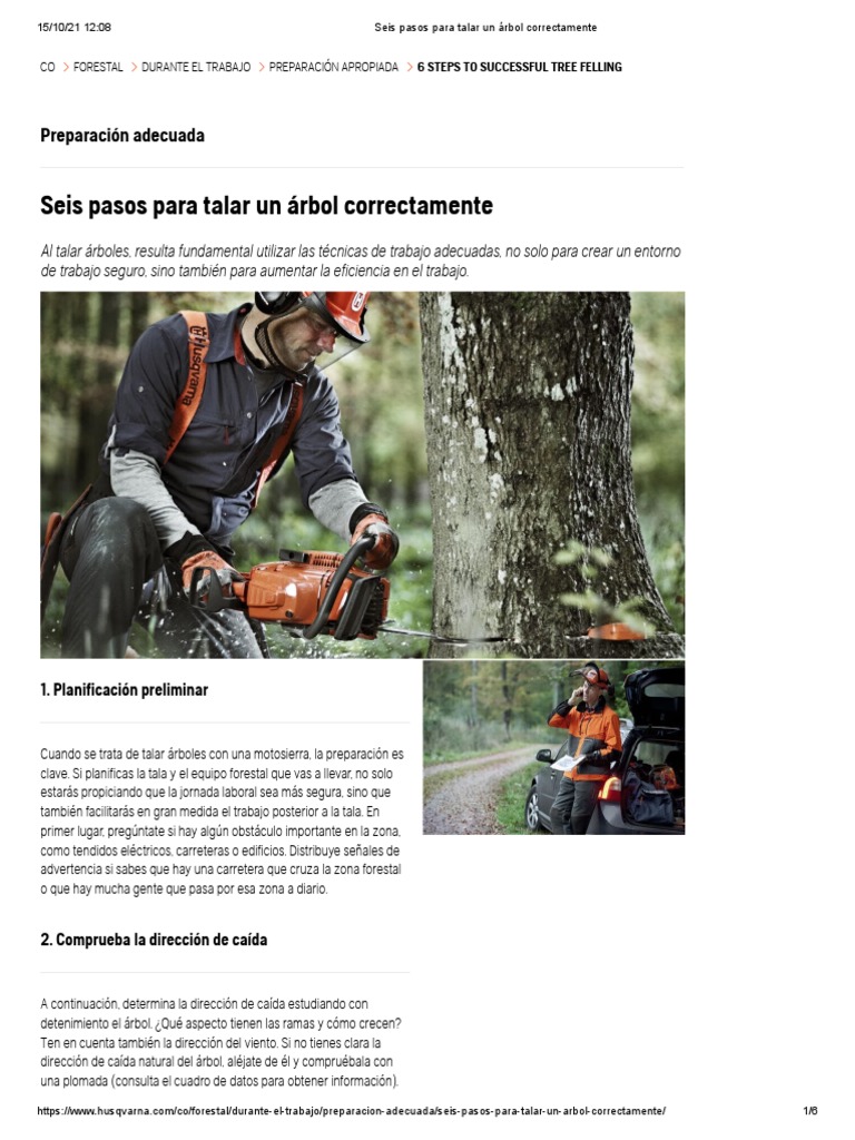 6 steps tree felling | PDF | Arboles | Longitud