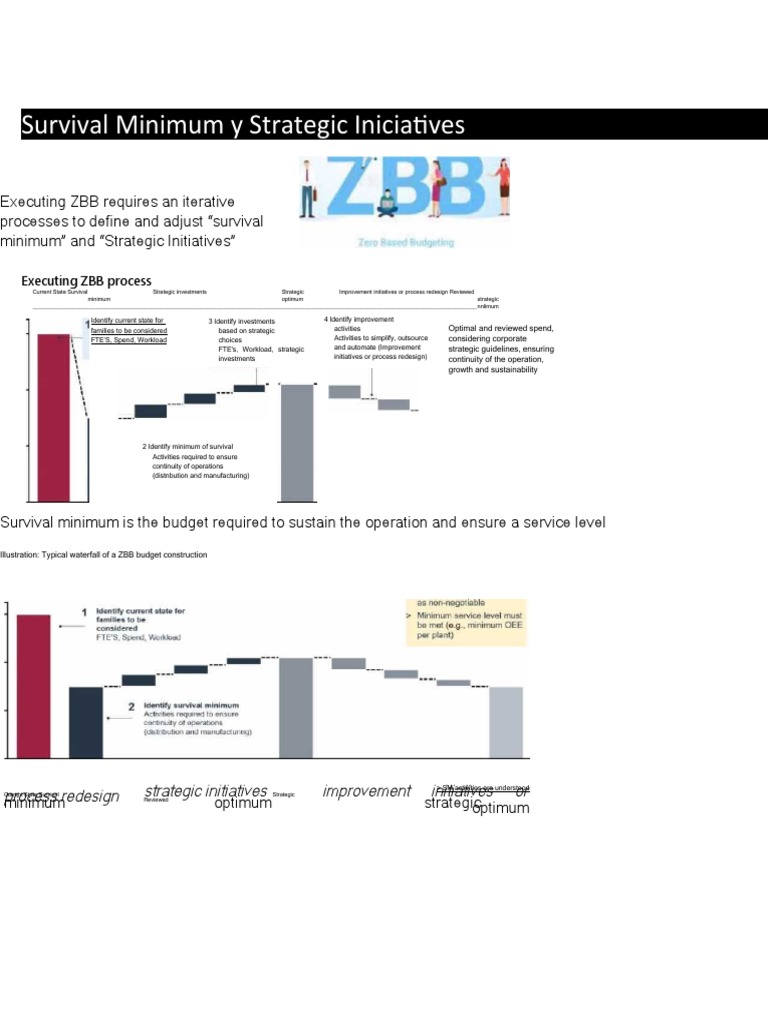 Survival Minimum y Strategic Iniciatives: Executing ZBB Process | PDF ...