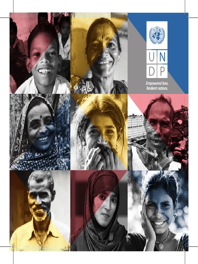 UNDP 2019 Brochure | PDF | United Nations Development Programme ...
