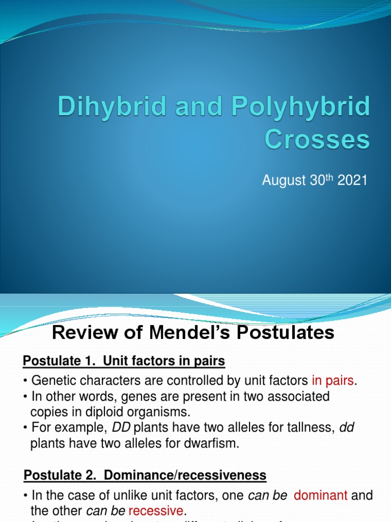 Genetics 2nd Week Dihybrid and Trihybrid Crosses | PDF | Dominance ...