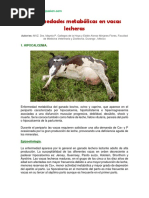 Ciclo Estral de La Vaca | PDF | Hormona luteinizante | La salud de la mujer