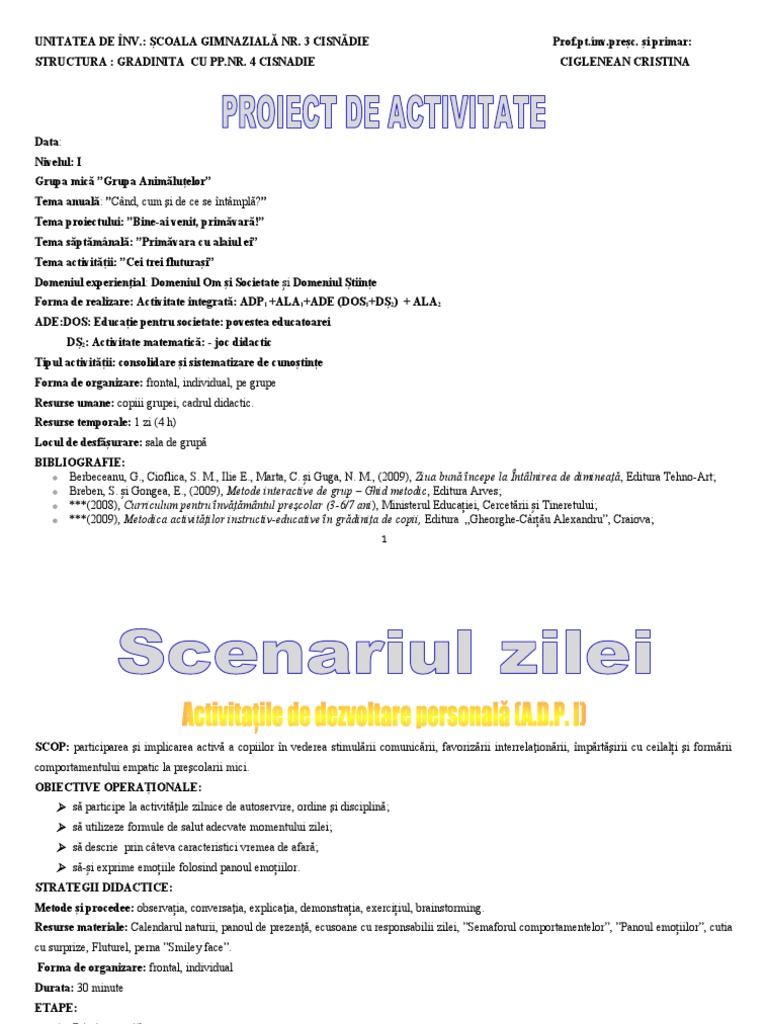Proiect Fluturasii | PDF