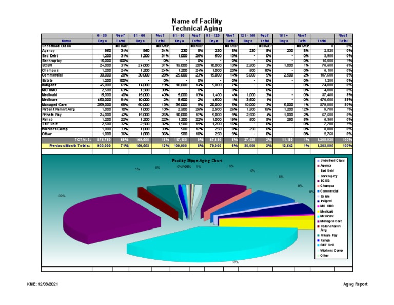 AR Aging Report (Example) | PDF | Managed Care | Medical And Health ...