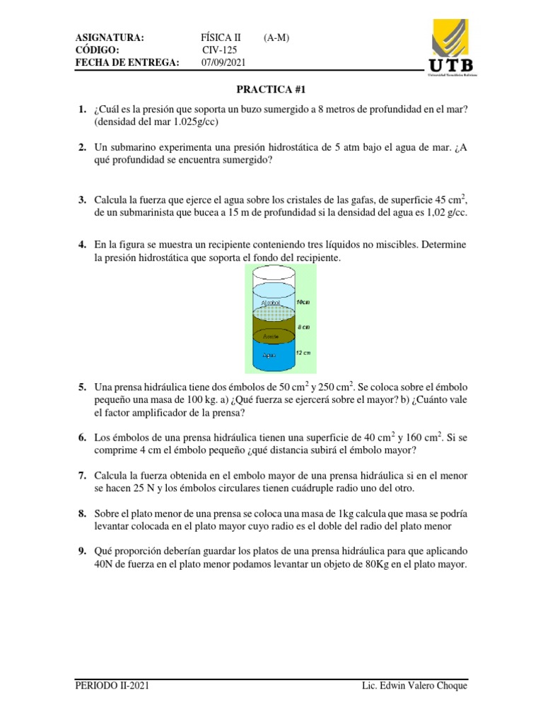 Prac Fis II #1 | PDF | Densidad | Buceo bajo el agua