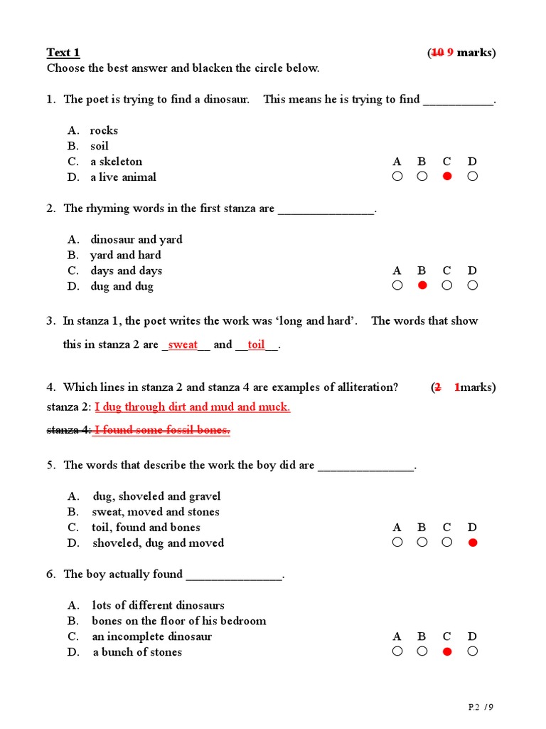 S3 Reading Comprehension Practice | PDF