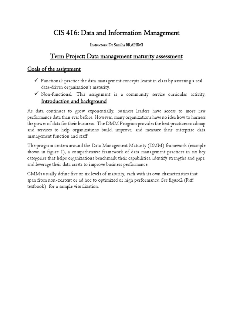 Data and Information Practice Assignment | PDF | Conceptual Model ...