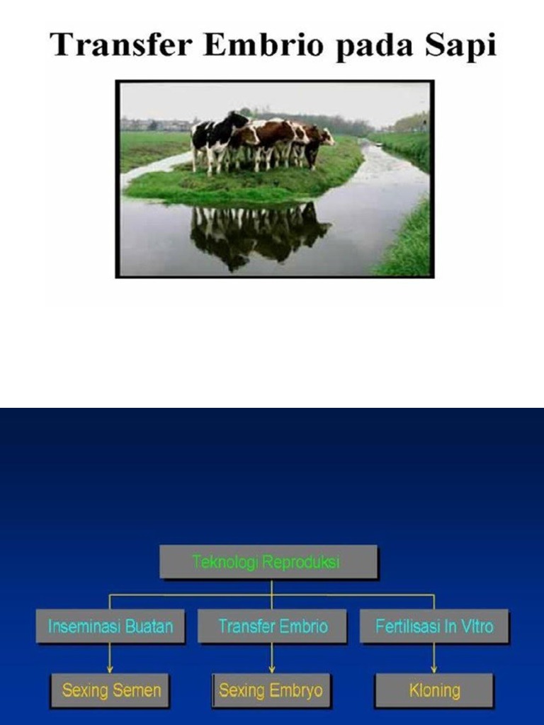 Transfer Embrio | PDF | Kesehatan Holistik