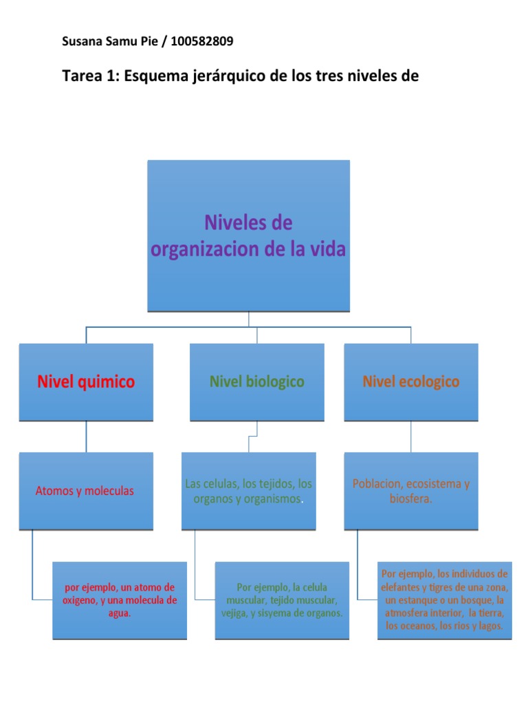 Esquema Jerarquico | PDF