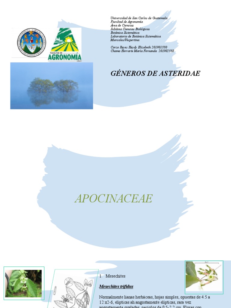 Géneros de Asteridae | PDF | Organismos | Ramas de la botánica