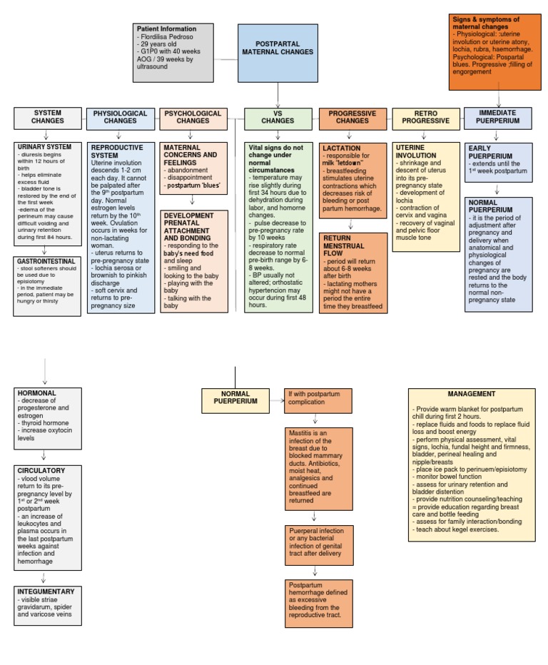 Concept Map 4 | PDF | Postpartum Period | Childbirth