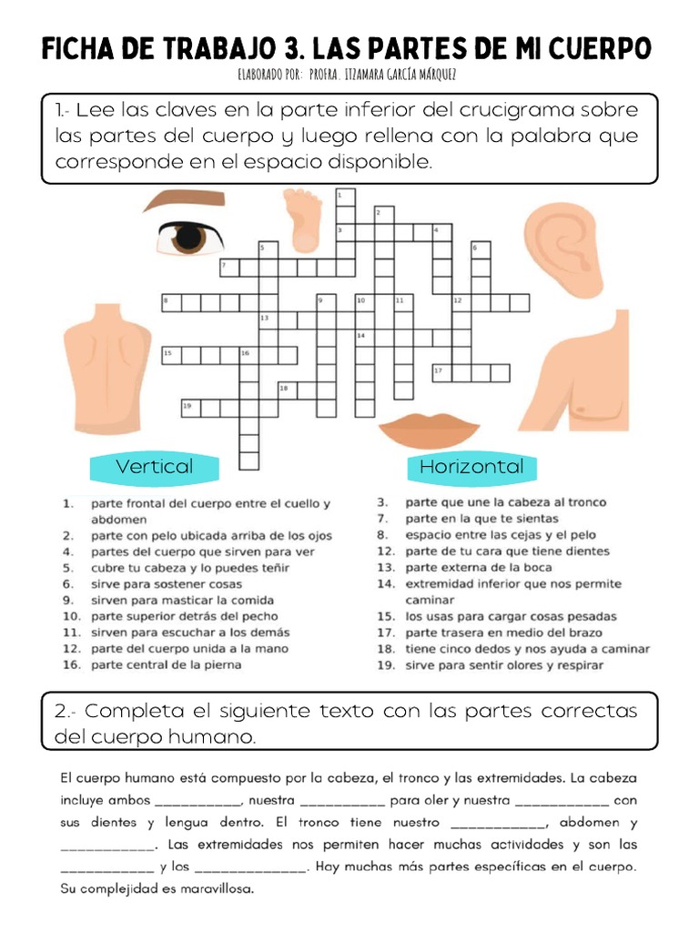 Ficha de Trabajo 3. Las Partes de Mi Cuerpo | PDF