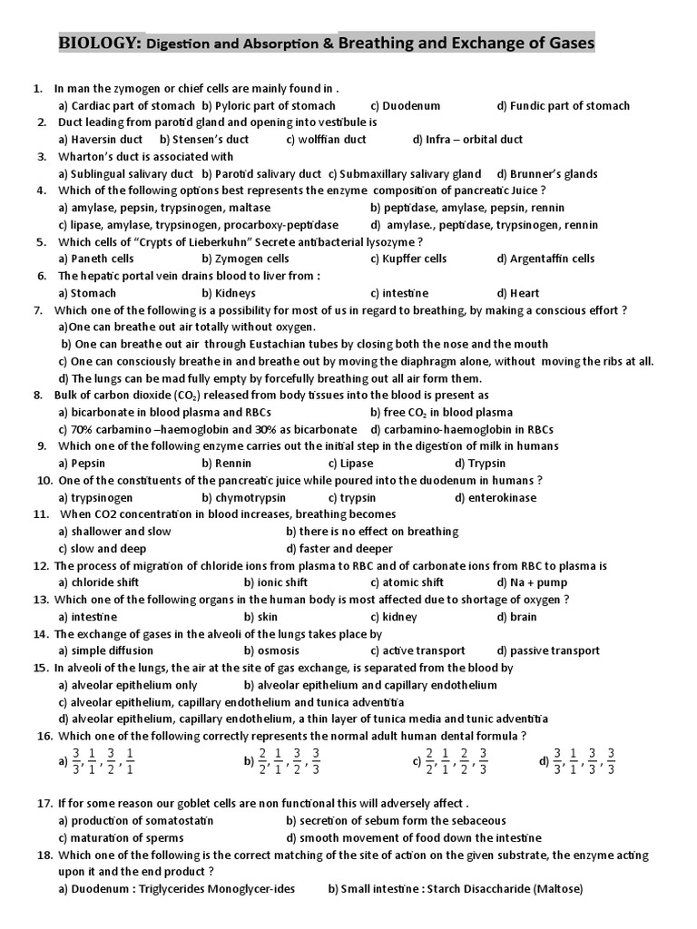 Digestive and Respiratory Processes | PDF | Digestion | Stomach
