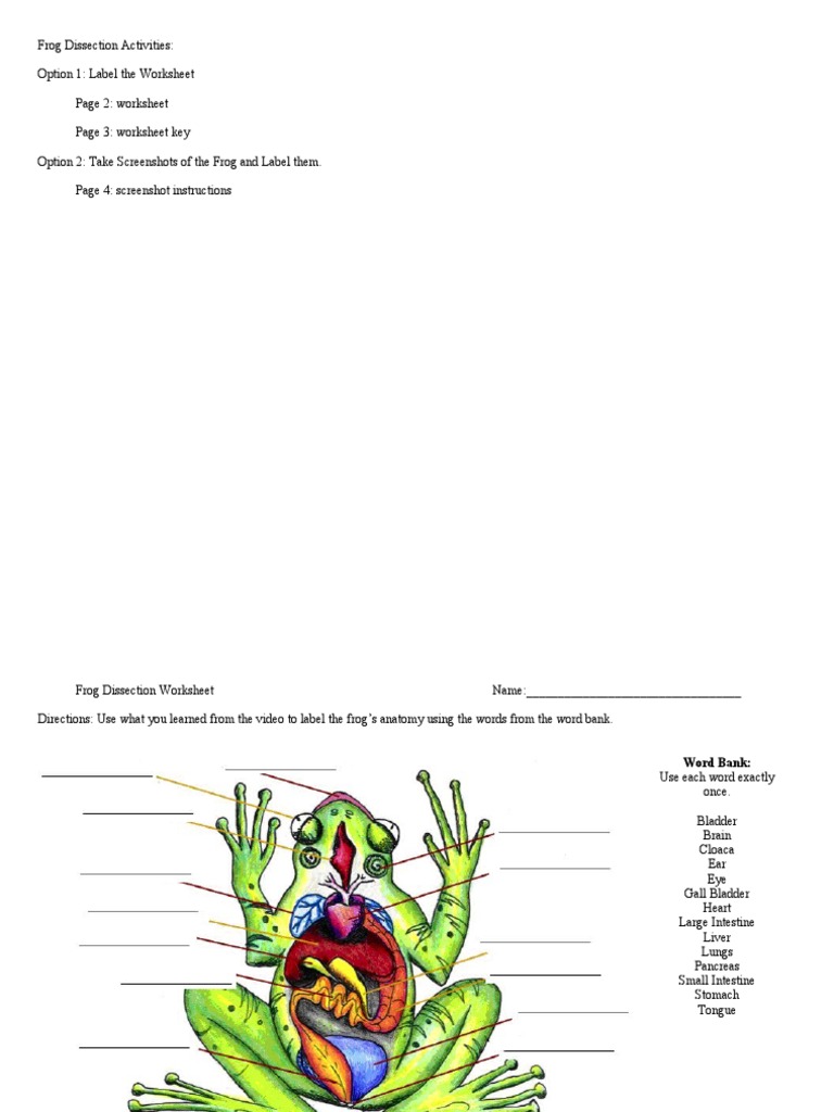 Frog Dissection Worksheet