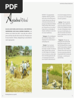 Tumpakners With A Twist | PDF | Games & Activities | Self-Improvement