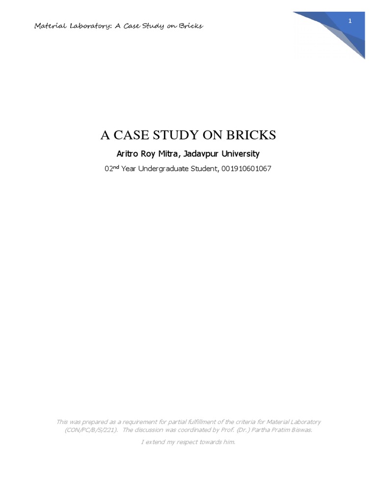 A Case Study On Bricks | PDF | Brick | Fly Ash