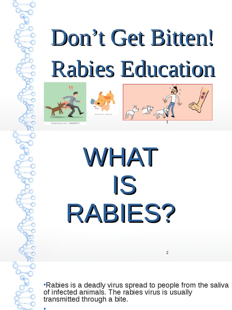 Rabies Awareness and Prevention Guide | PDF | Rabies | Health Sciences