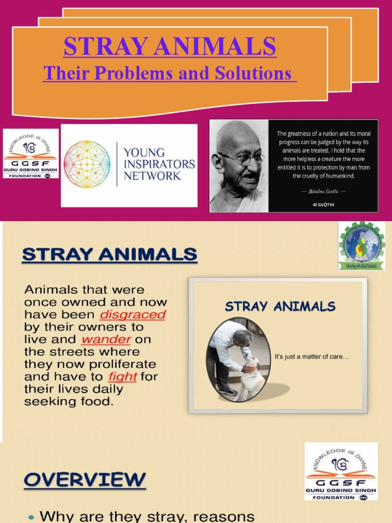 Stray Animals: Their Problems and Solutions | PDF