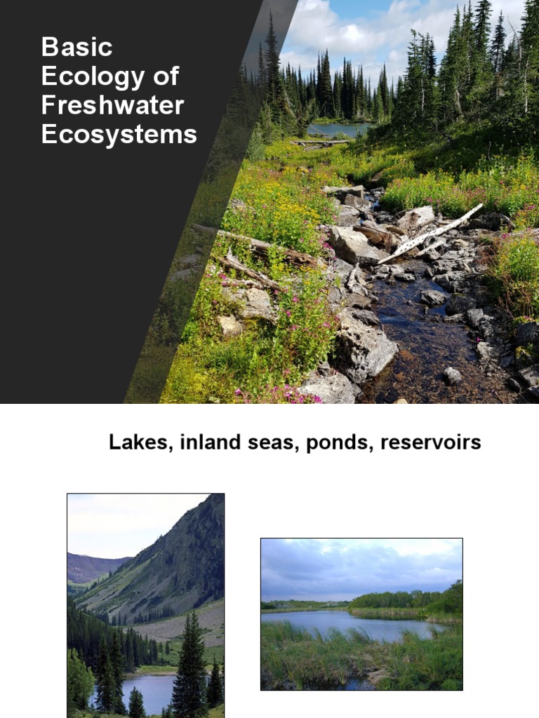 L2 Basic Freshwater Ecology | PDF | Biogeochemistry | Nature