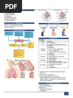 Study Guide PMHNP Must Know Exam Topics Cheat Sheet: by Via | PDF ...