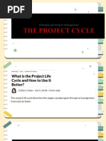 12 Step Process On Clup Formulation | PDF