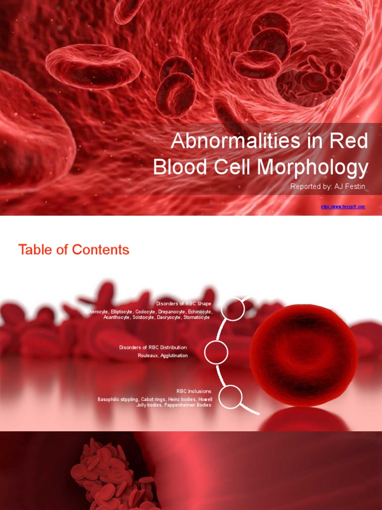 RBC Morphology Abnormalties 2 | PDF | Red Blood Cell | Anemia