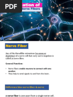 Atlas de Anatomia Anthony B. Olinger | PDF | Anatomical Terms Of Motion ...