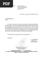 Formato de Alta Vehicular SLP | PDF | Gobierno | Business