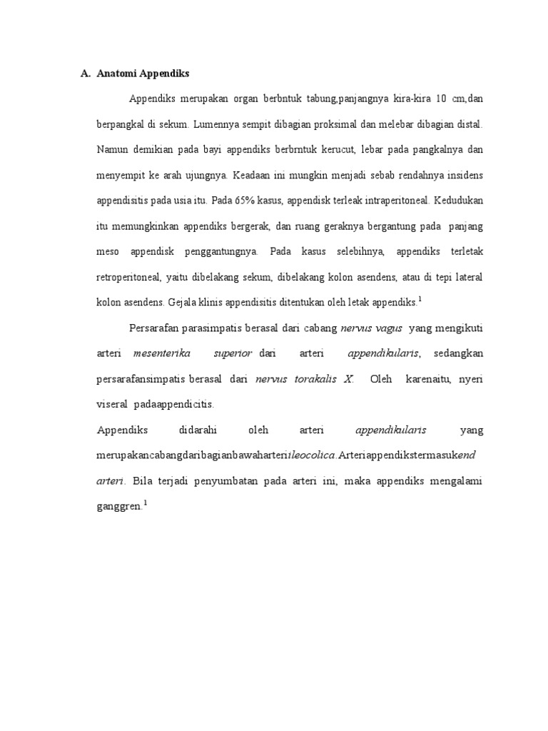 Anatomi Appendiks | PDF