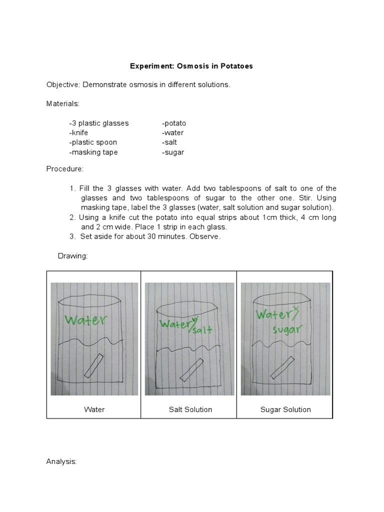 Experiment: Osmosis in Potatoes | PDF | Osmosis | Chemistry