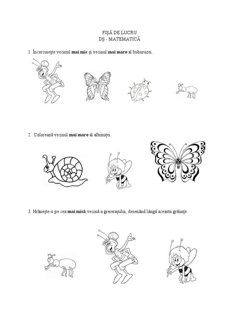 Fisa de Lucru Vecini Insecte | PDF