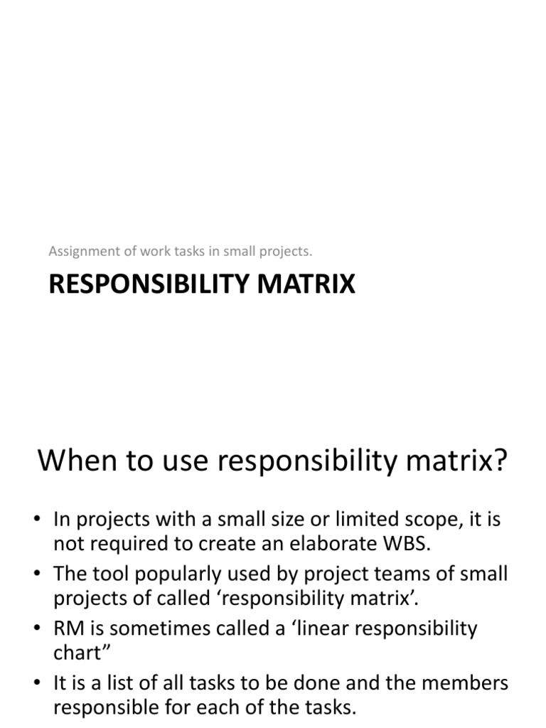 Responsibility Matrix: Assignment of Work Tasks in Small Projects | PDF