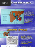 Anatomie de L'aine 2016, EPH Djilali Rahmouni (Les Orangers) | PDF ...