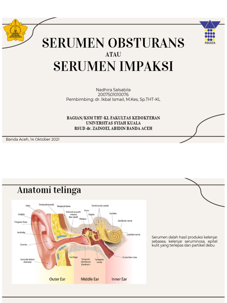 Serumen Obsturans | PDF