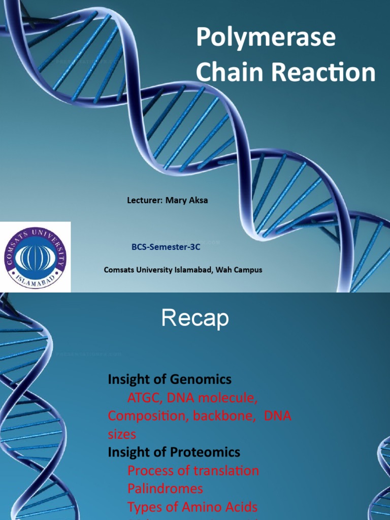 Polymerase Chain Reaction: Lecturer: Mary Aksa | PDF | Polymerase Chain Reaction | Primer ...