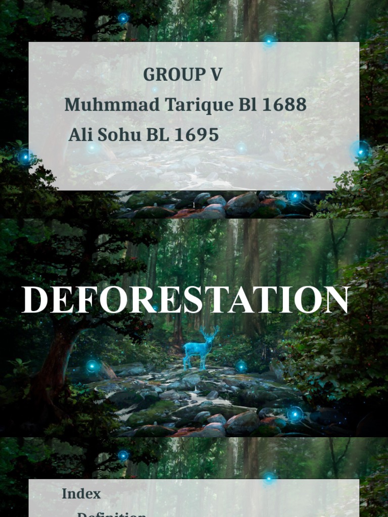 Deforestation Presentation Download Free Pdf Deforestation Forests