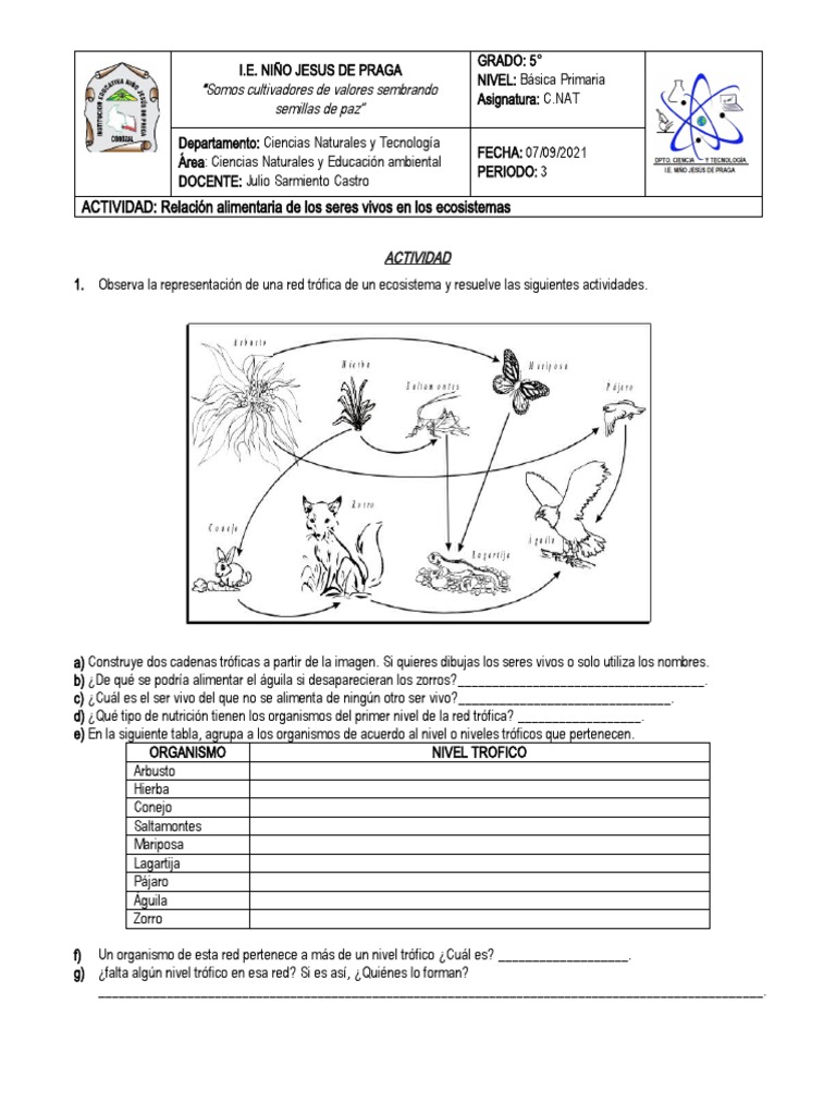 Actividad Relaciones Alimentarias en Los Ecosistemas | PDF