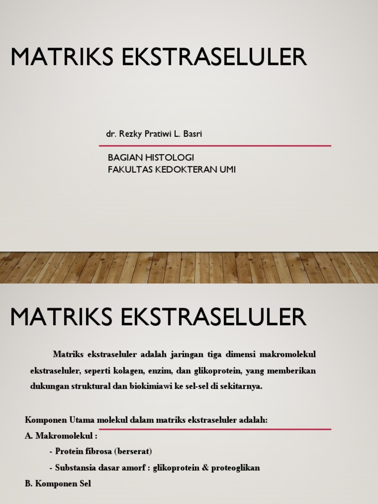 Struktur dan Fungsi Matriks Ekstraseluler | PDF | Sains & Matematika