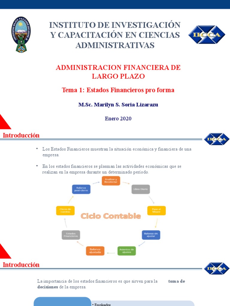 Tema 1 - EEFF Pro Forma | PDF | Estado de resultados | Presupuesto