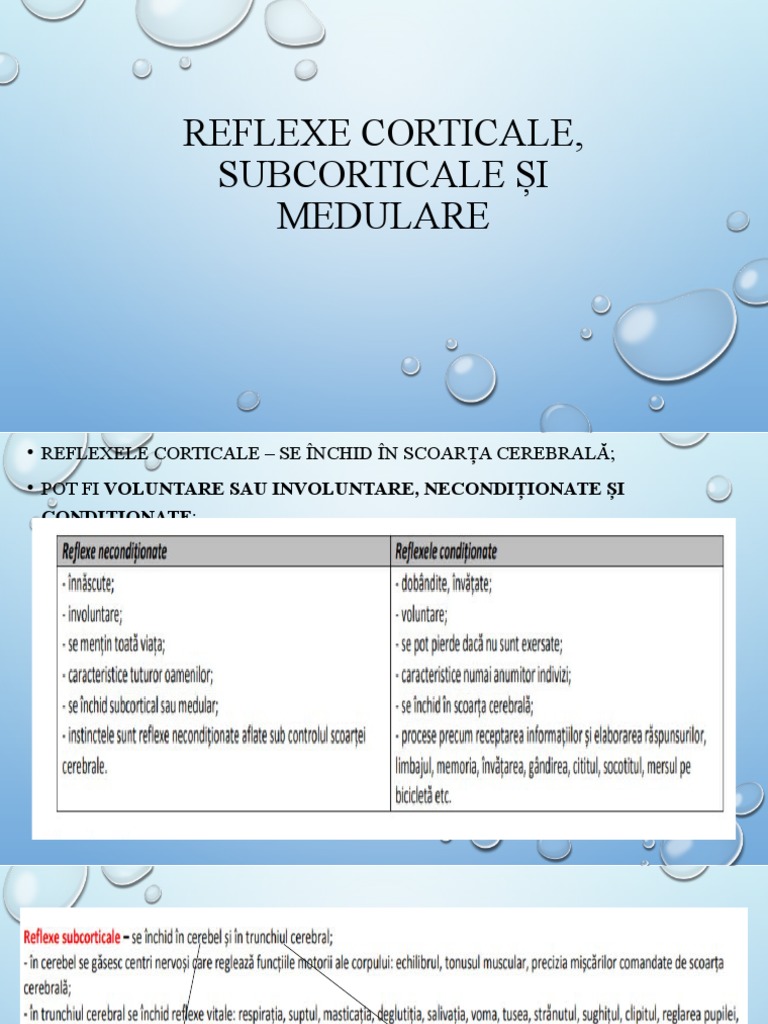 Reflexe Corticale, Subcorticale Și Medulare 7 | PDF