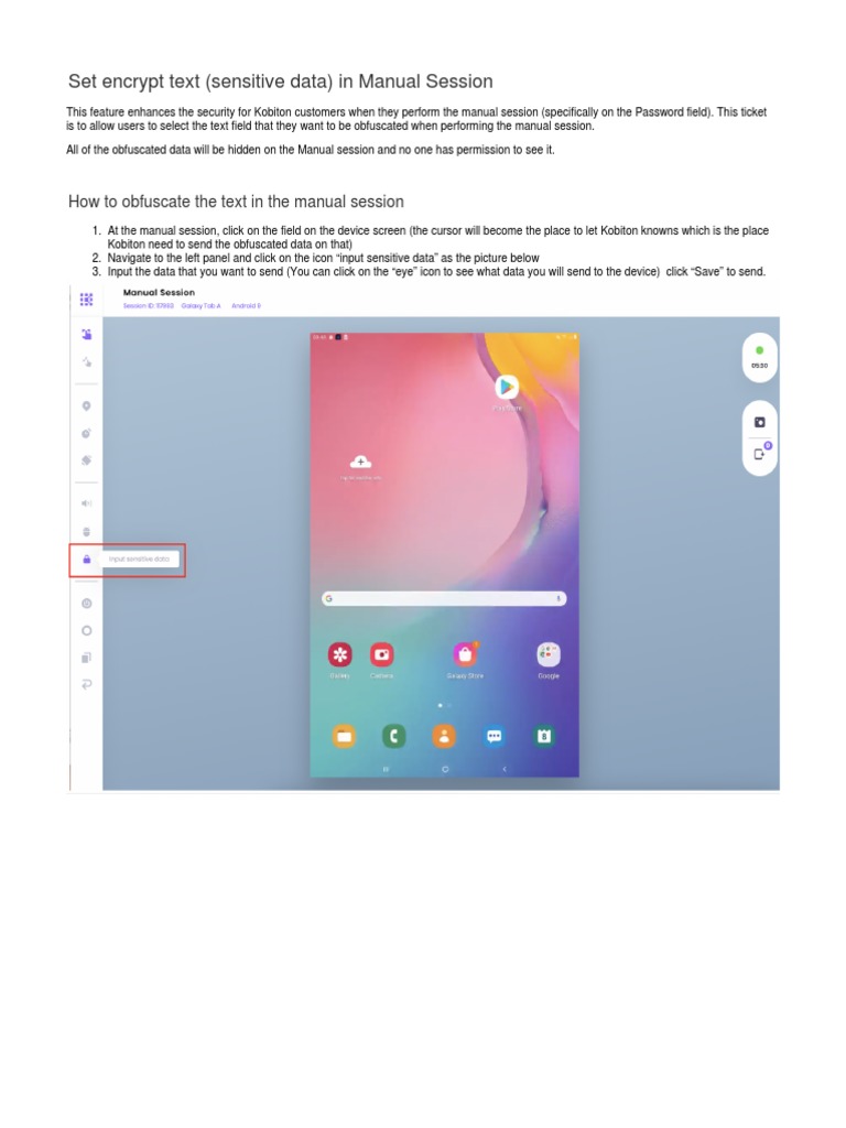 Obfuscate Data in The Manual Session | PDF