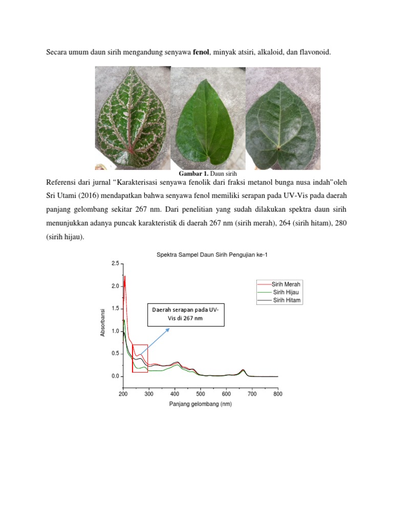Senyawa Fenol Daun Sirih | PDF