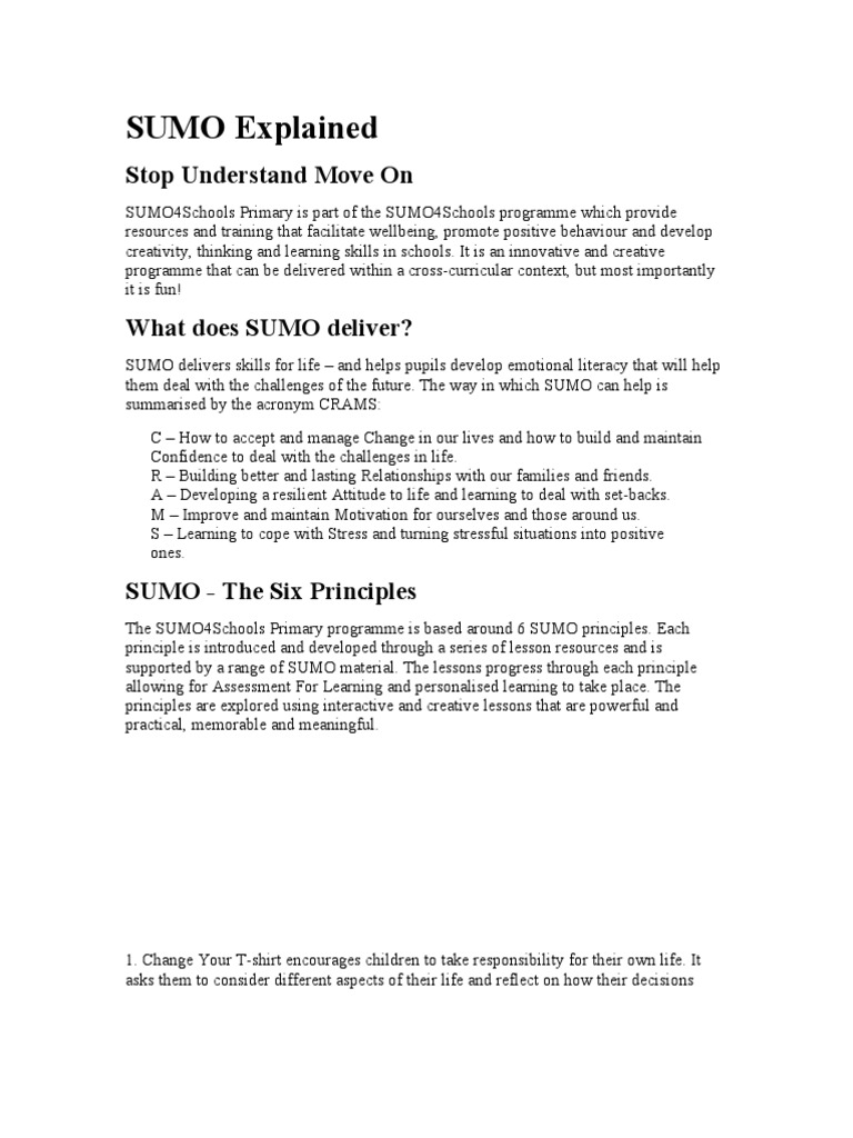 SUMO Principles | PDF | Creativity | World View