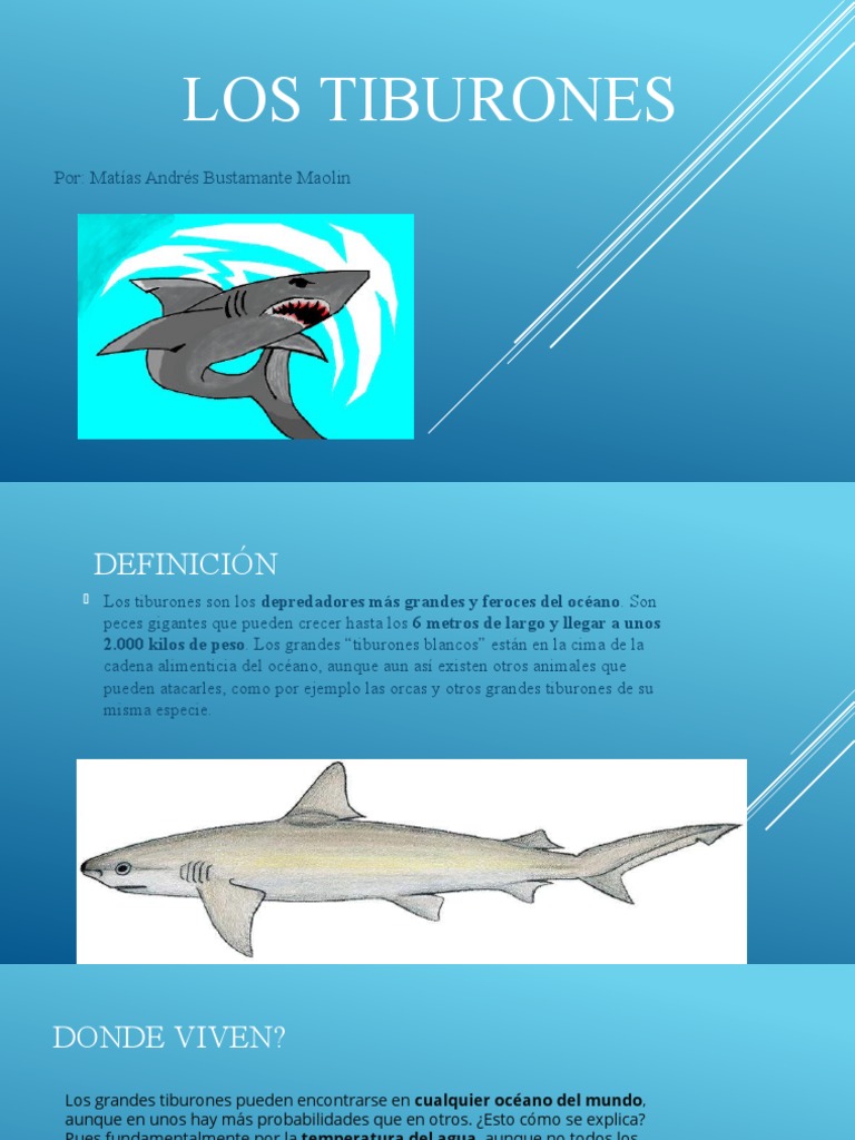 Los Tiburones | PDF | Ciencia y matemáticas