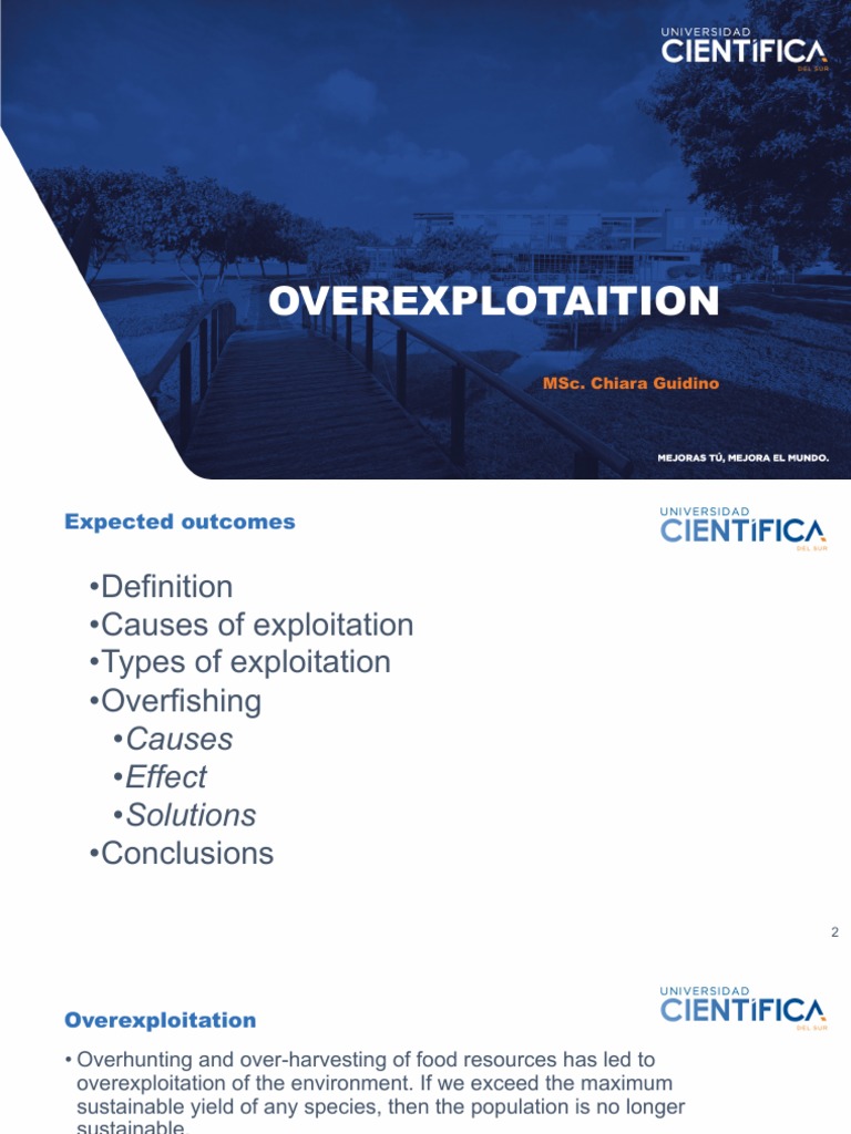 Sobrepesca Overexploit | PDF | Habitat Destruction | Overfishing