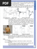 Pruebas de Galeazzi-Ellis y Signo de Adam | PDF | Salud y bienestar