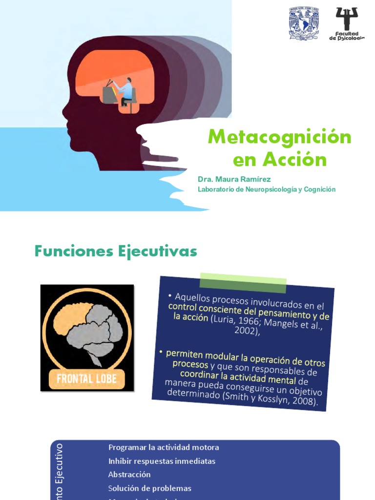 Metacognicion Neuropsicologia-Maura Ramirez - 2021 | PDF | Teoria de la ...