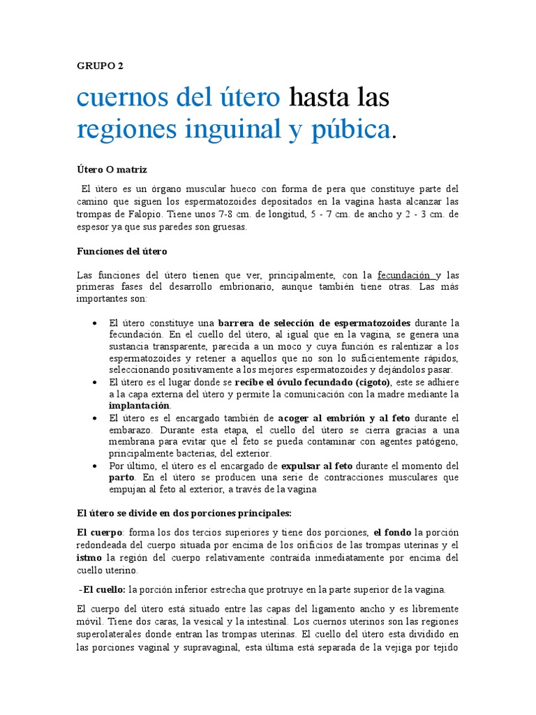 El útero: funciones y posiciones en mujeres | PDF | Útero ...