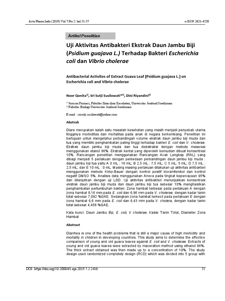 Uji Aktivitas Antibakteri Ekstrak Daun Jambu Biji THD BAKTERI E COLI | PDF