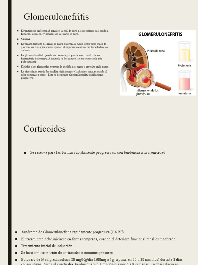 Glomerulonefritis Rápidamente Progresiva | PDF | Ciencias de la Salud | Enfermedades y trastornos