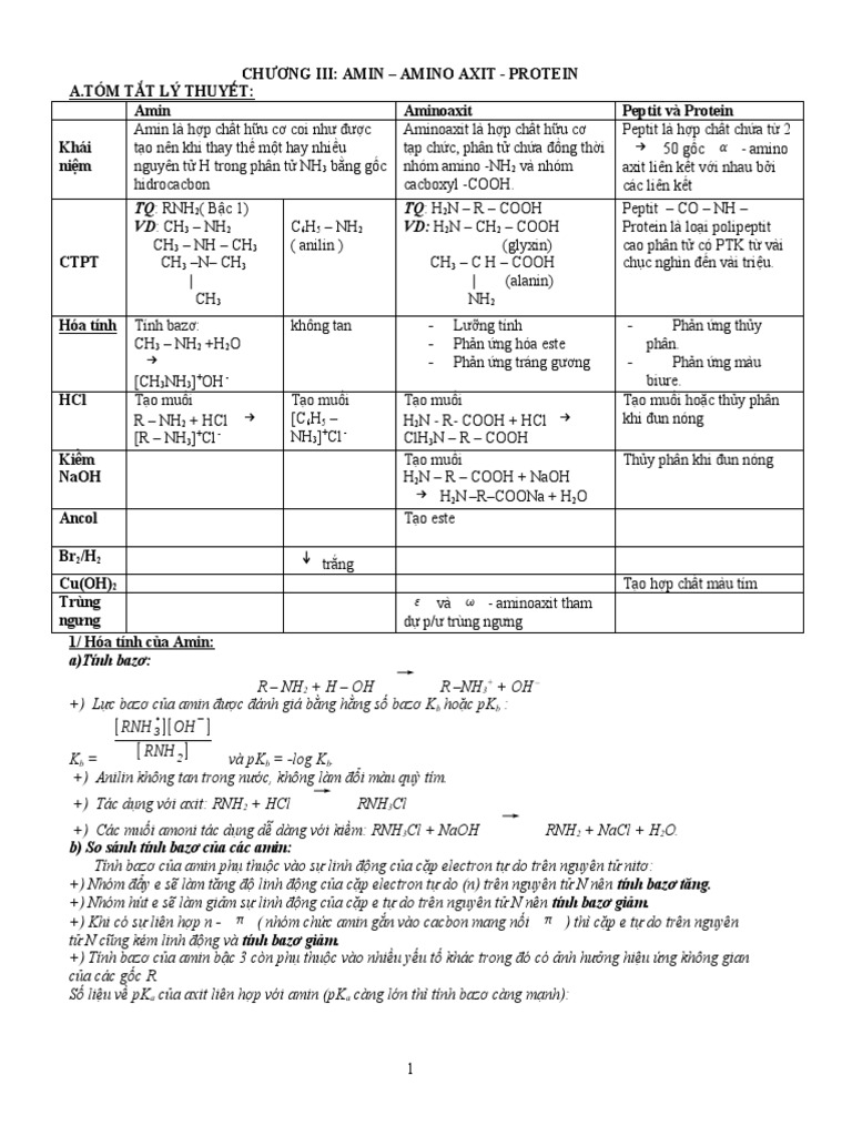 LT Và BT - Amin - Amino Axit - Protein | PDF